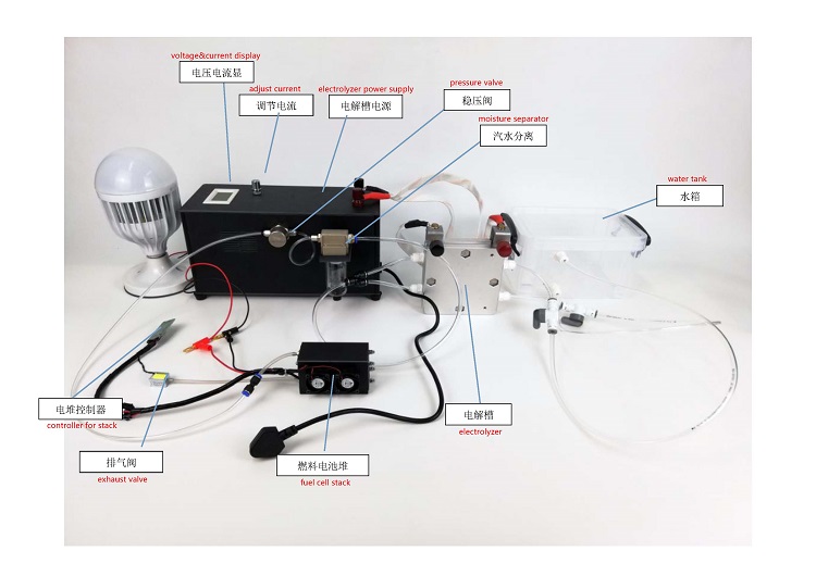 Hydrogen Cell Water Electrolysis Module Pem Electrolyzer Cell