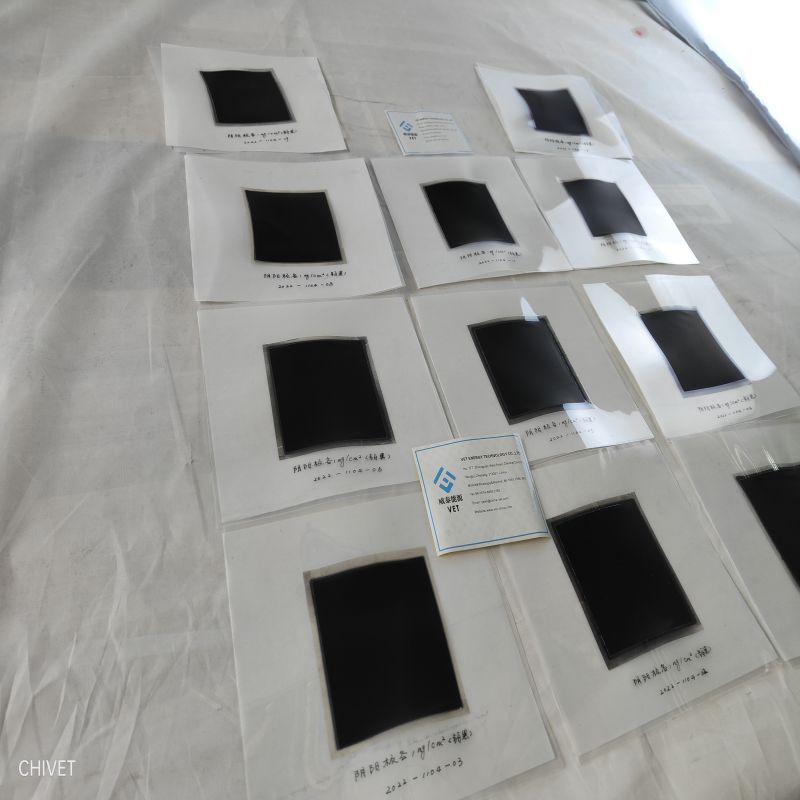 Fuel cell CCM electrode film, catalyst is platinum black 1mgcm2- sent ...