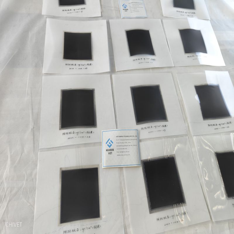 Fuel cell CCM electrode film, catalyst is platinum black 1mgcm2- sent ...